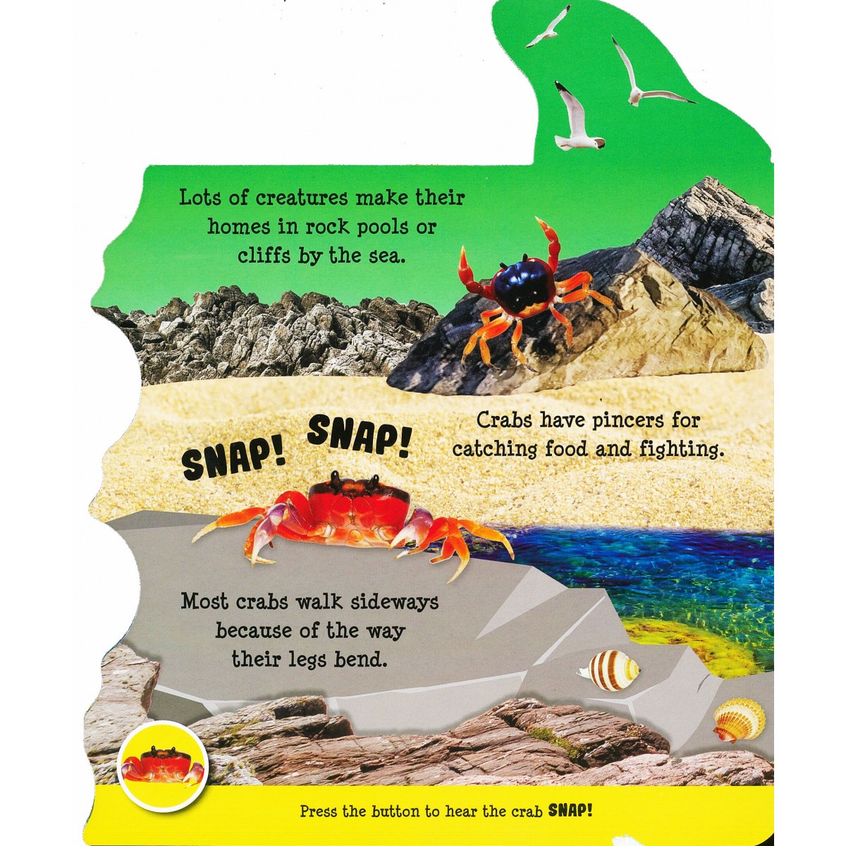In The Ocean (Igloo Books) Sound Book