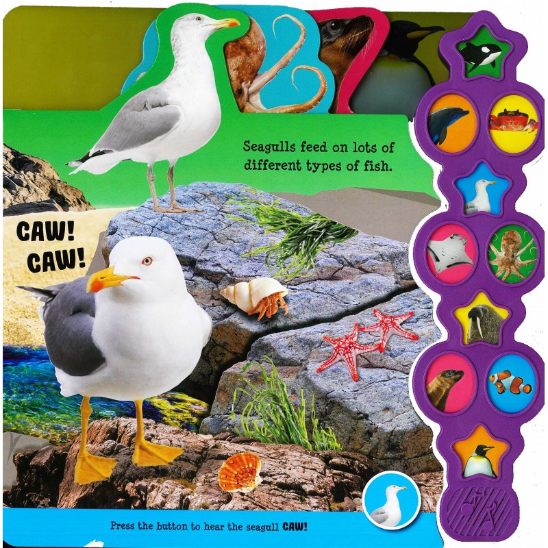 In The Ocean (Igloo Books) Sound Book